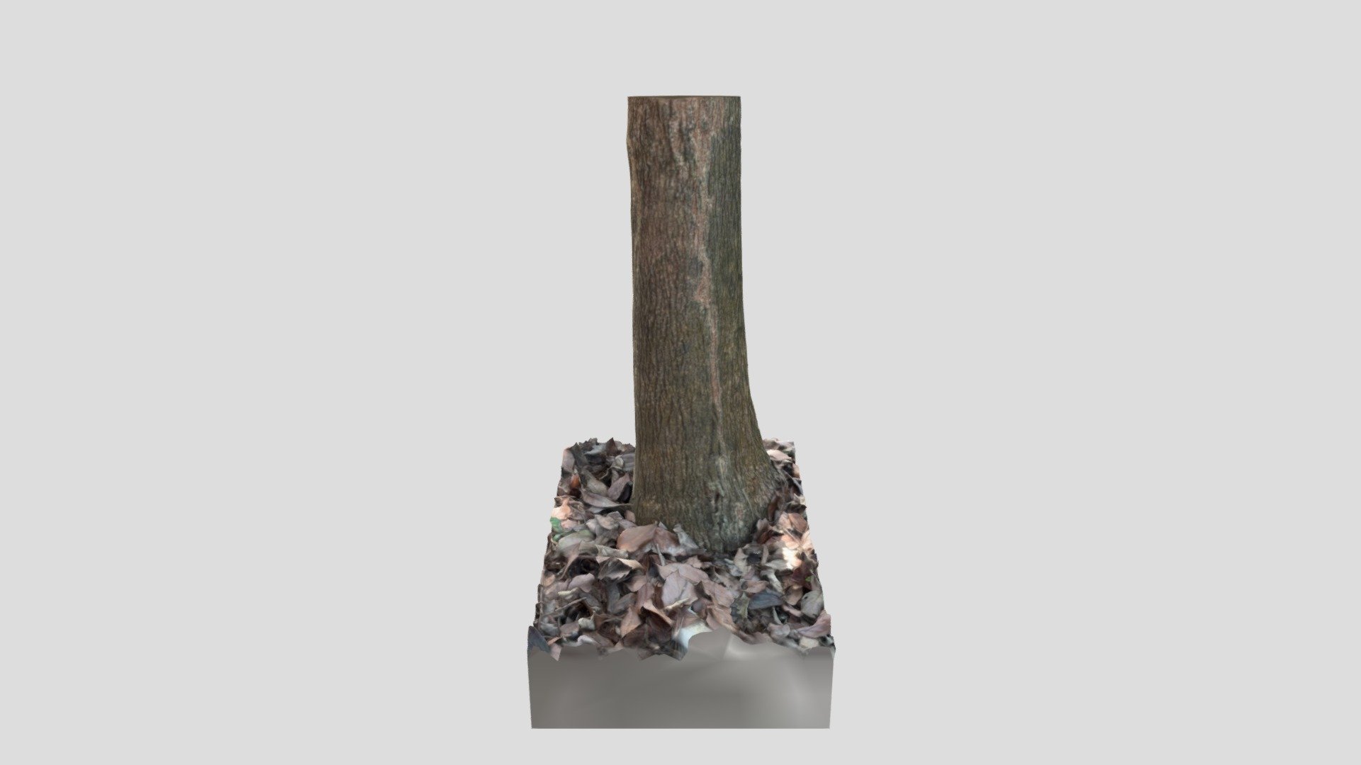 Tree01 - Download Free 3D model by ilikejingongmen [797cd81] - Sketchfab