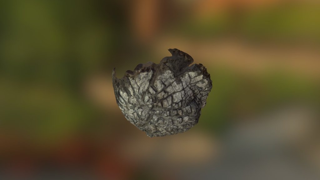 Breadcrust bomb - 3D model by hesterm [797d605] - Sketchfab
