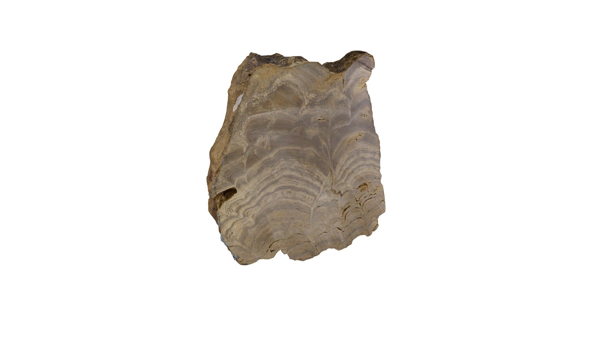 stromatolites - Download Free 3D model by rocksandminerals [7982051 ...