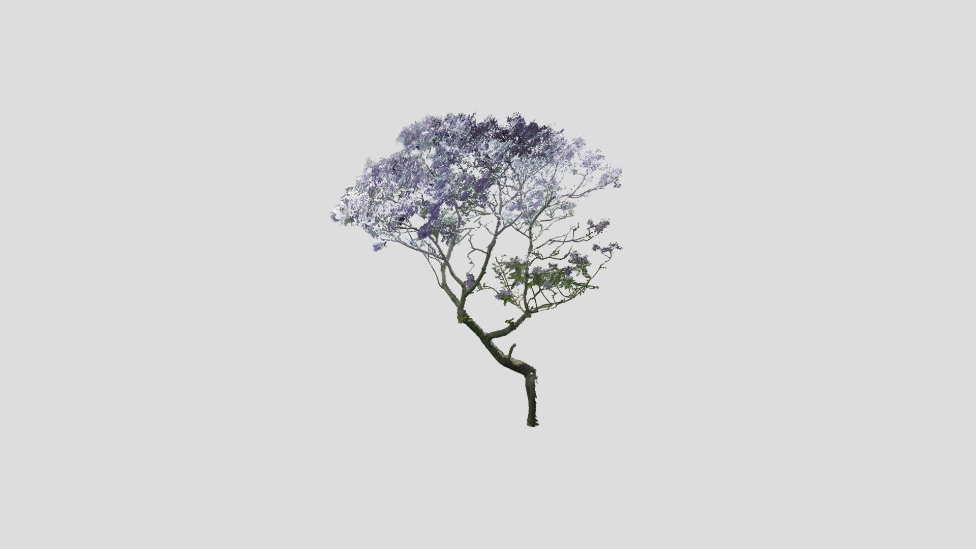 Tree Point Cloud - Buy Royalty Free 3D model by magnum_opus (@tree ...