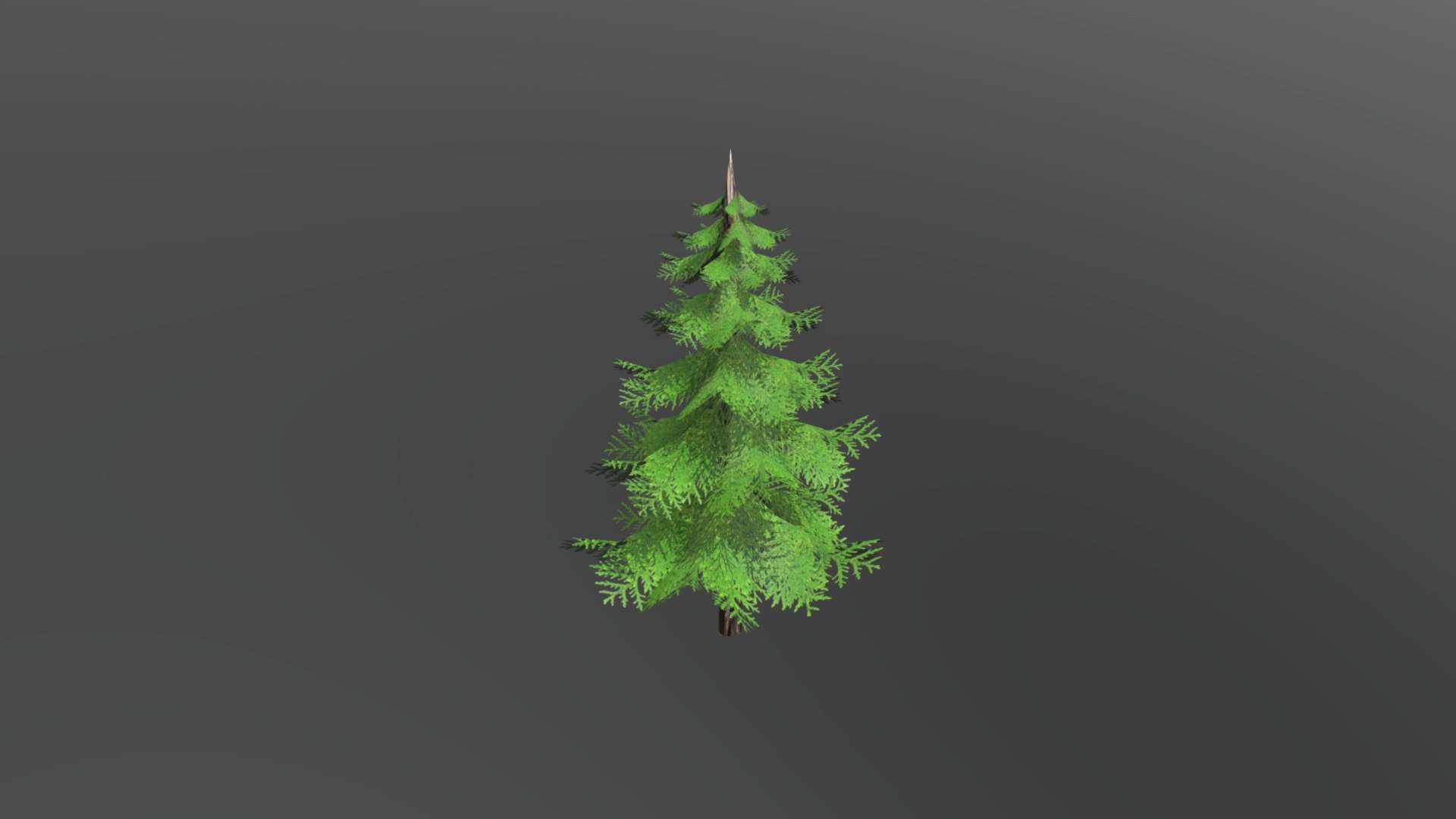 Fir Tree - Download Free 3D model by SpookySalamander [798d254] - Sketchfab