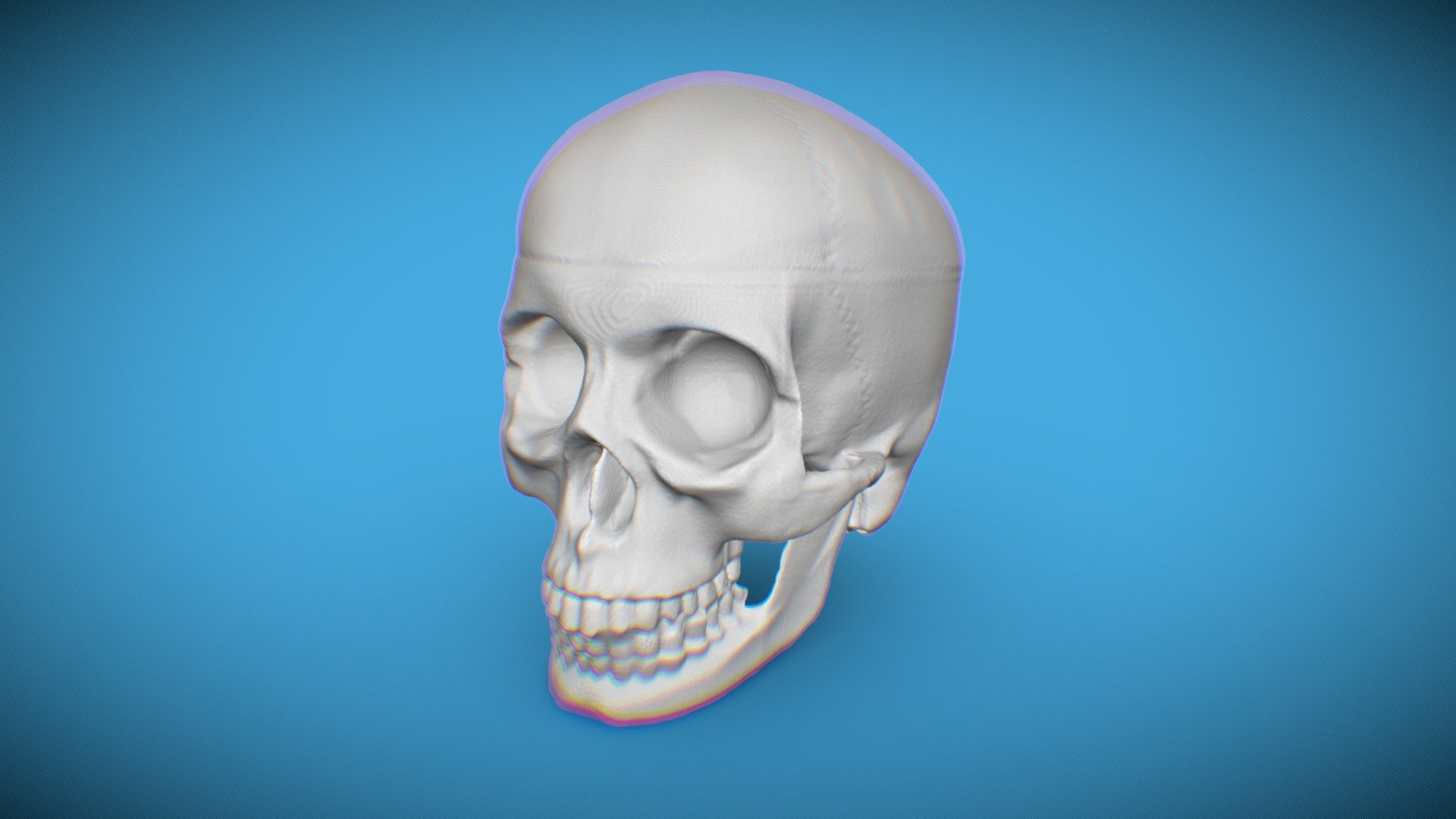 Full human skull - Download Free 3D model by MimmoLagonigro [7992e6b ...