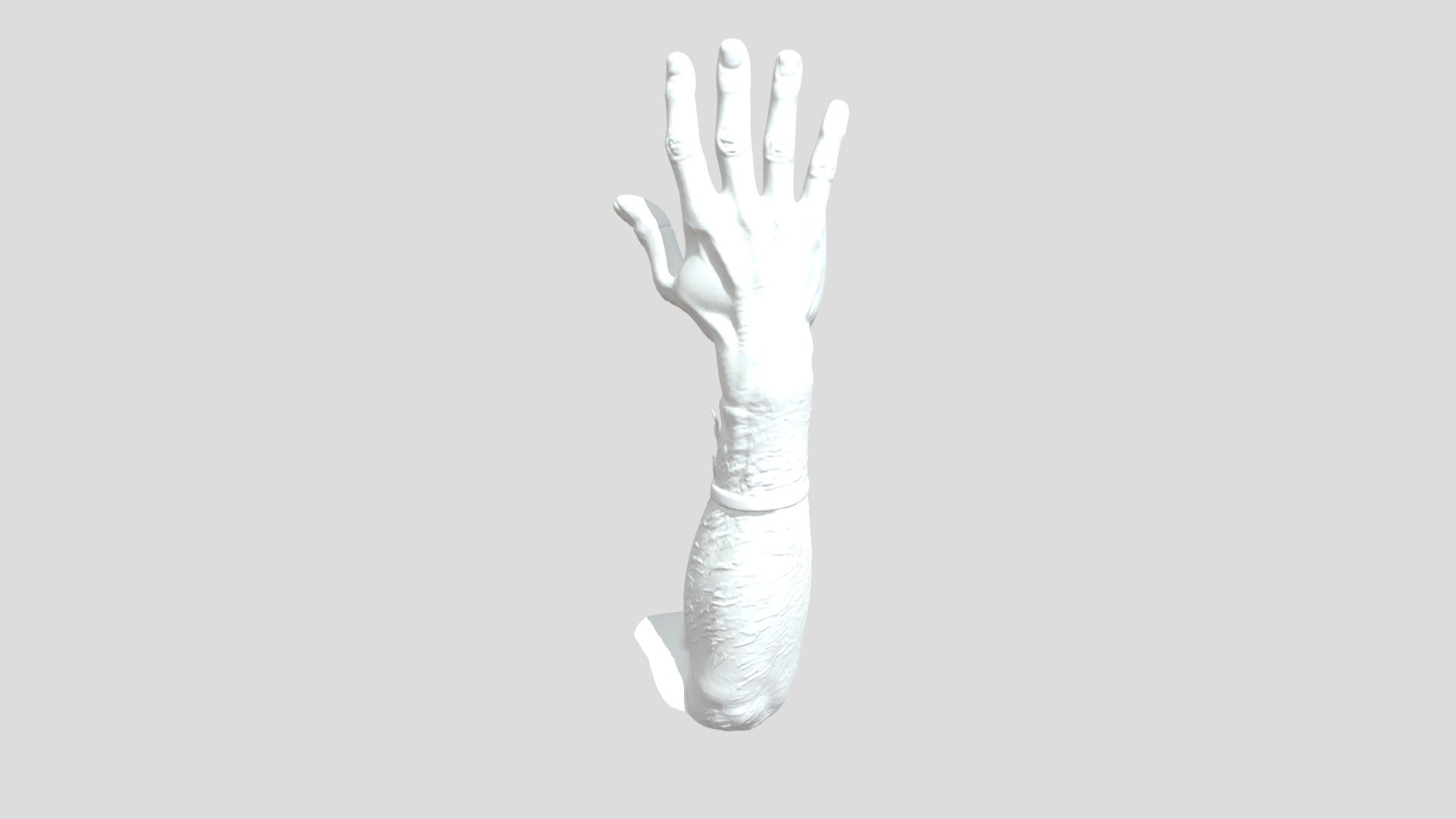 Arm and Wristband - Download Free 3D model by sselivanov061 [79937ef ...