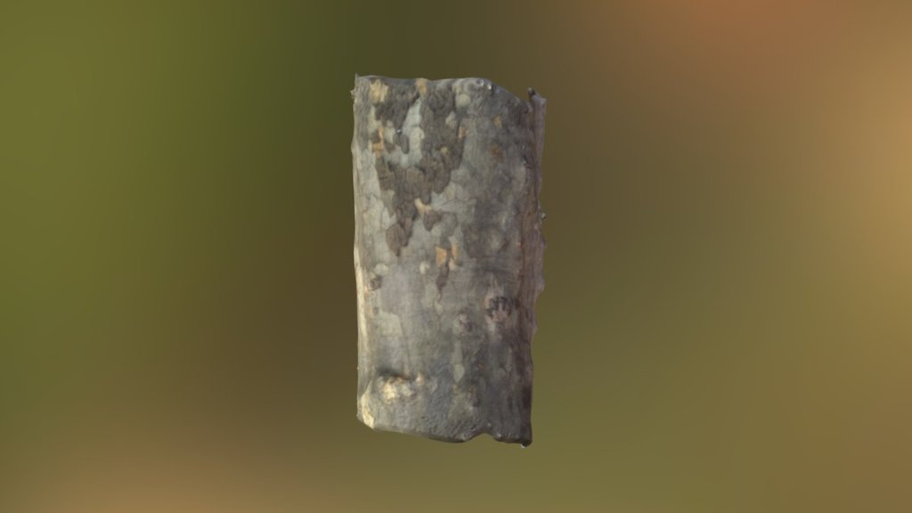 Tree Trunk with texture - 3D model by eyal ungar (@eyalungar) [7997de3 ...