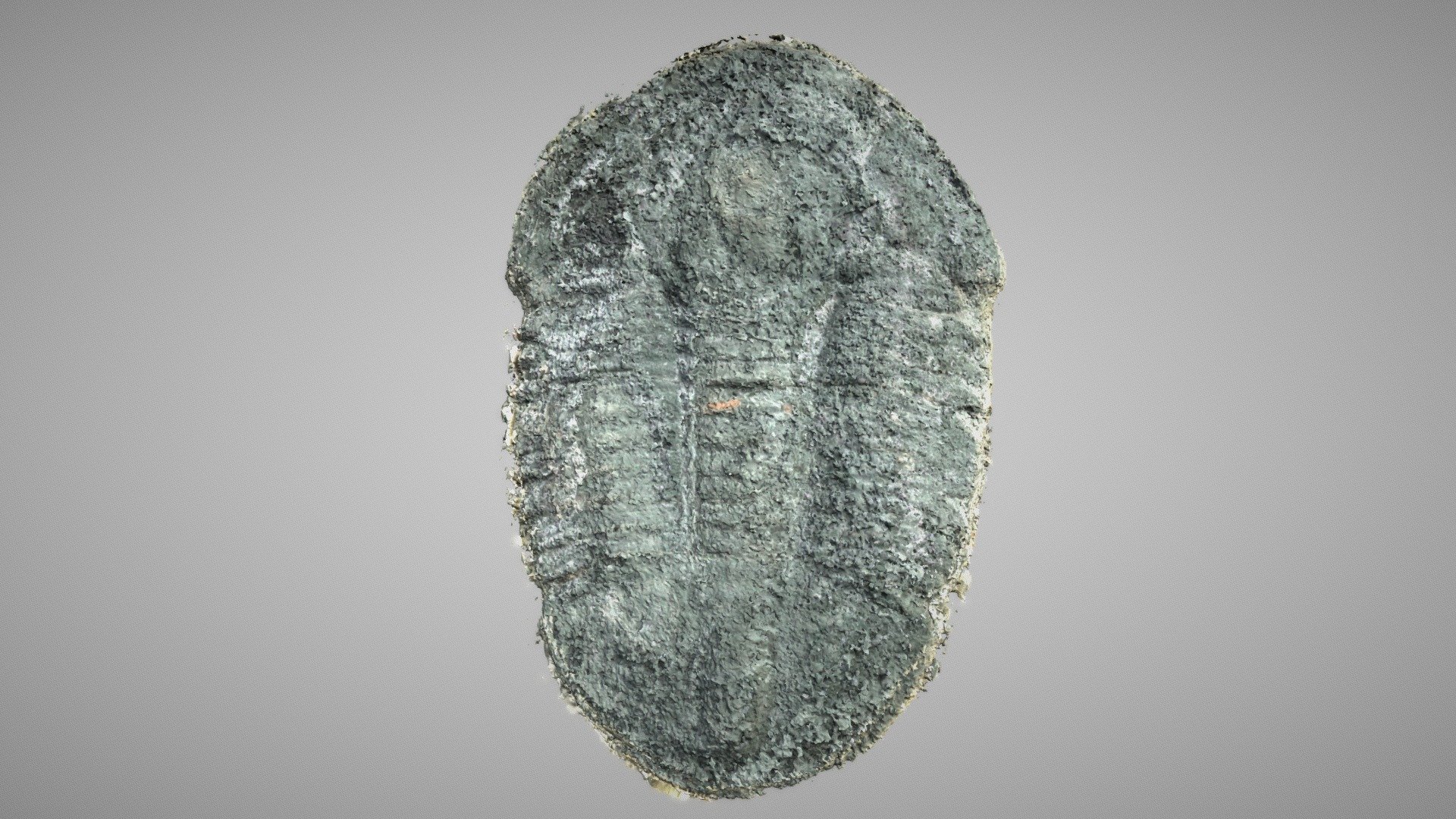 Ptychopariida, Asaphiscus wheeleri - Download Free 3D model by ...