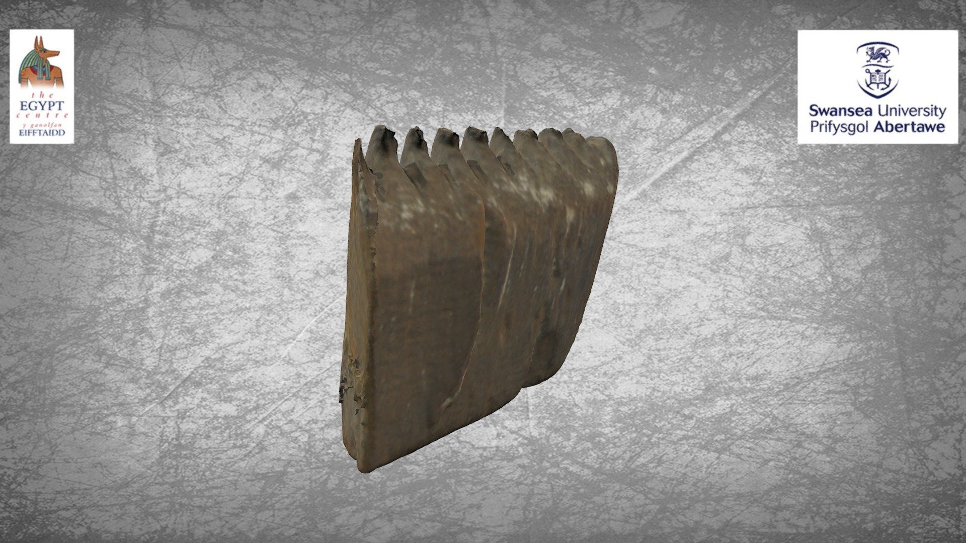 Comb (W368) - Download Free 3D model by The Egypt Centre ...