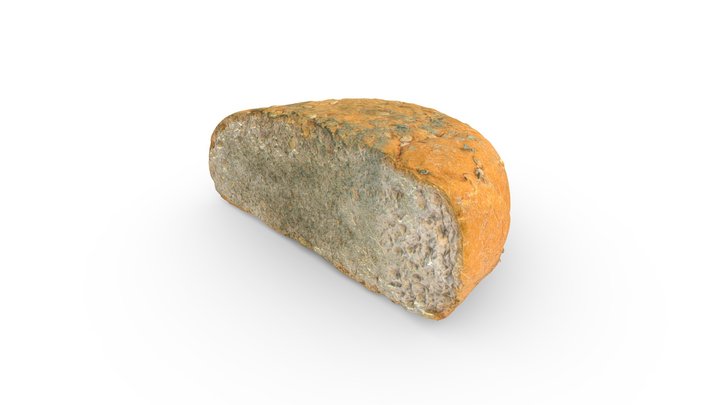 Millet 3D models - Sketchfab