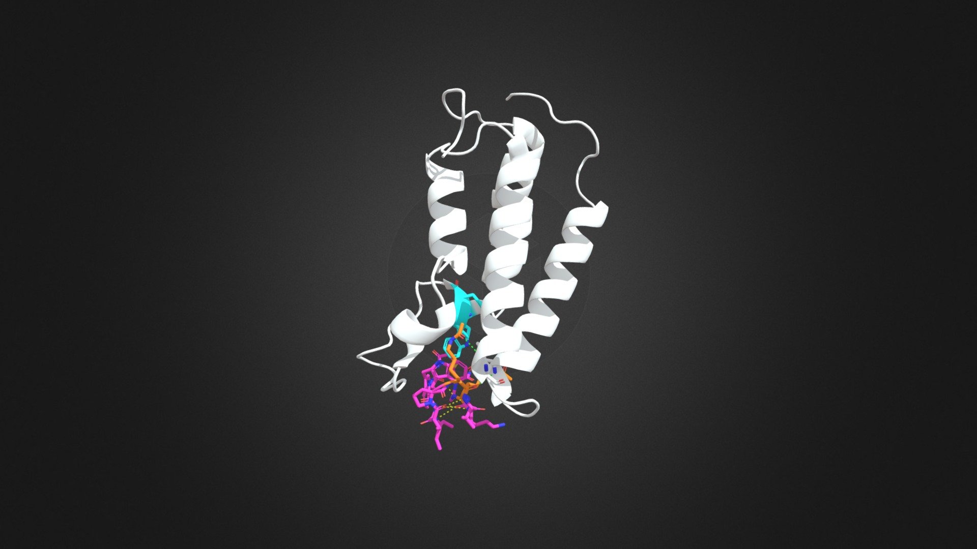 BRD3-BD1 and 3.1C Biomolecular Interaction - 3D model by cara (@caara ...
