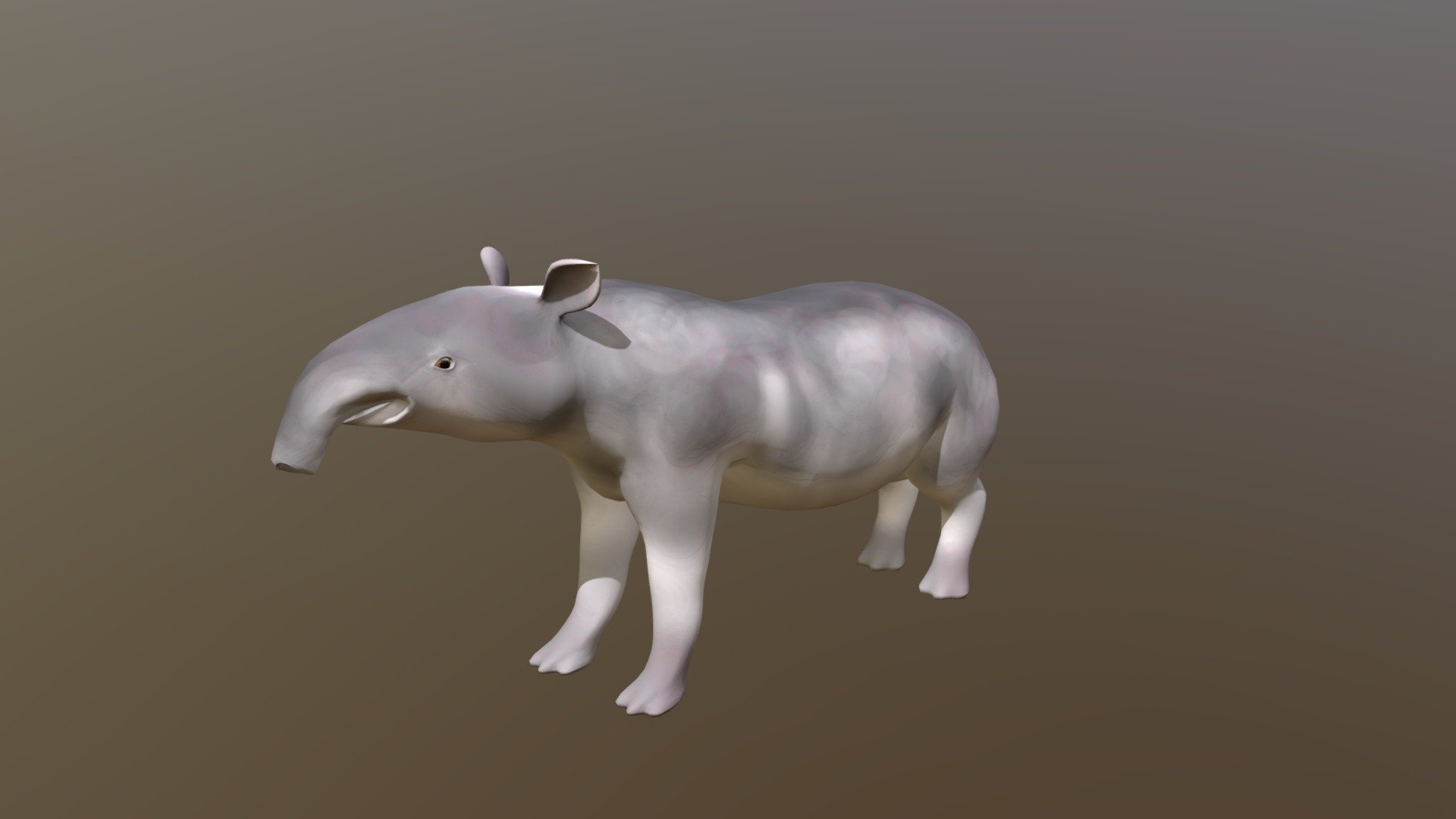 Megatapirus - Download Free 3D model by kenchoo [79cbf7a] - Sketchfab