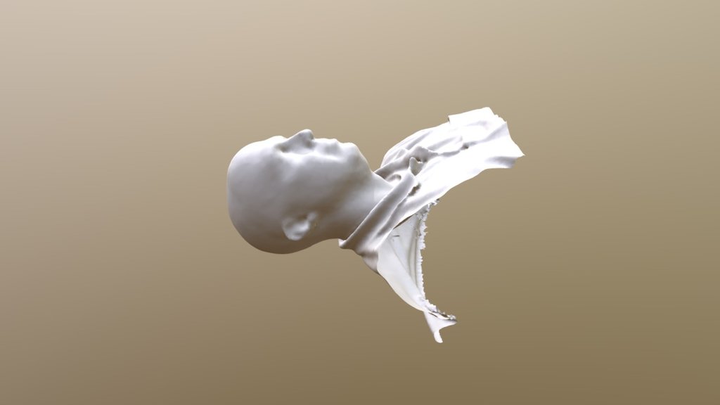phil color - Download Free 3D model by skyviewsolutions [79d58e4 ...