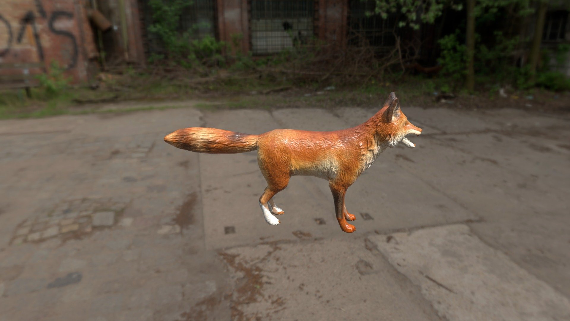 Fox - 3D model by wetpwnage [79ec941] - Sketchfab