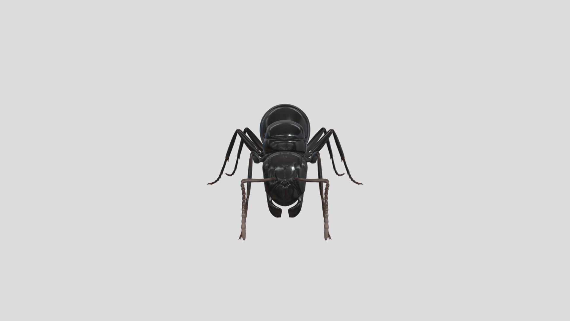 Ant - 3D model by chialinwang [79f01d4] - Sketchfab