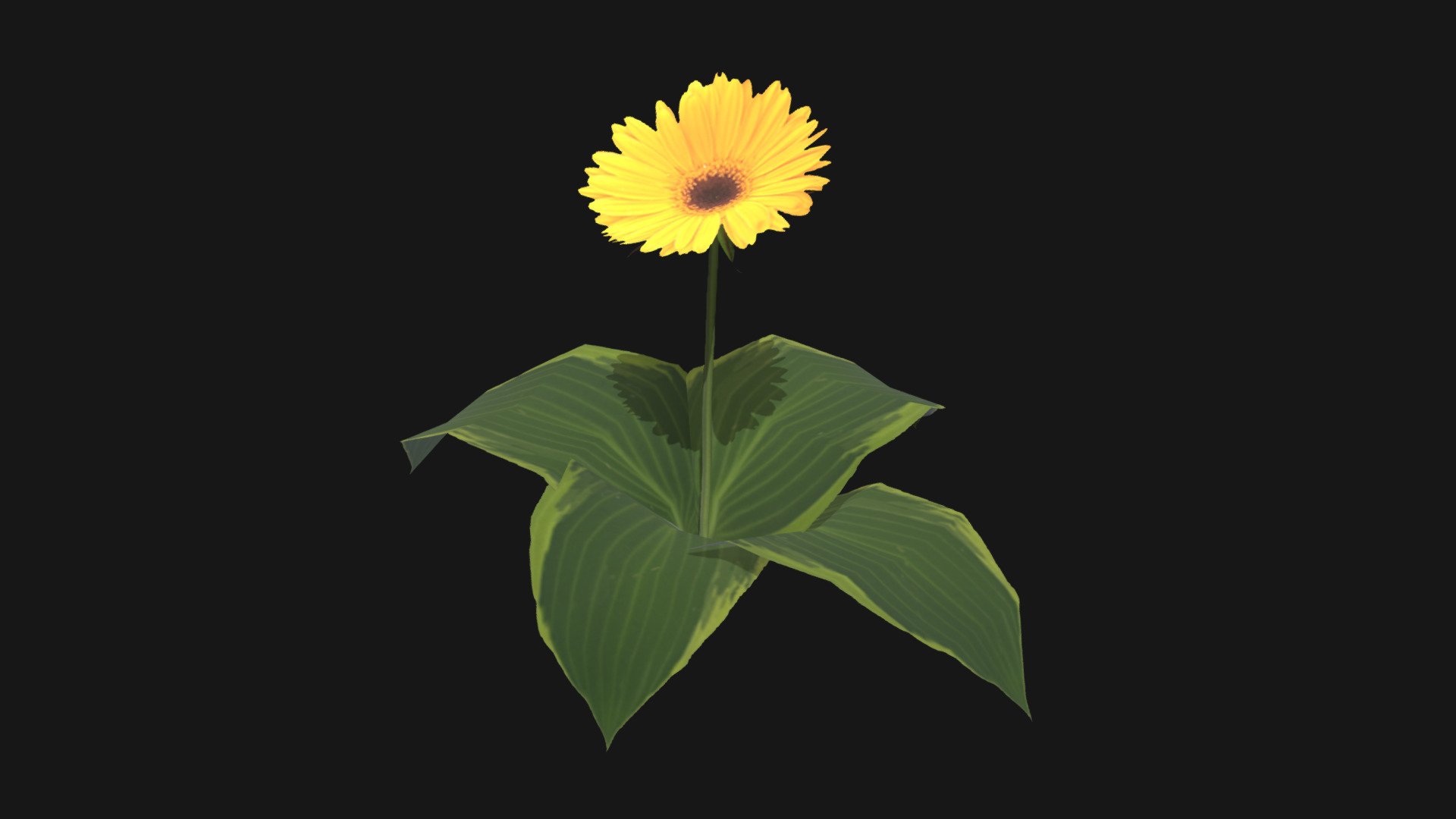 Yellow Flower - 3D model by Robin St (@robinst) [79f4178] - Sketchfab