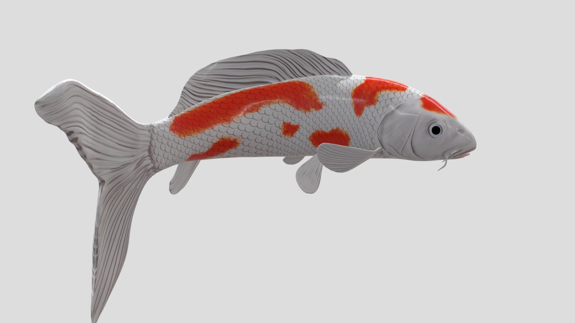 gambar ikan 3D ACHAAA - Download Free 3D model by nurashafasubhani ...