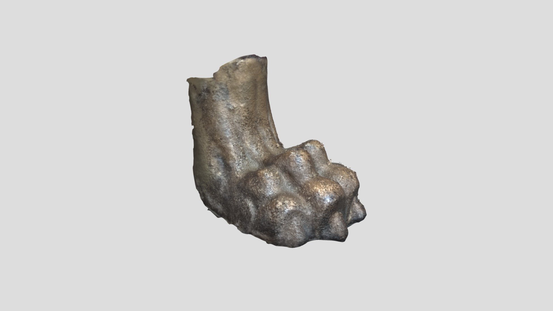 Scan 05 Lion Foot Detail - colour - Download Free 3D model by Chapel ...