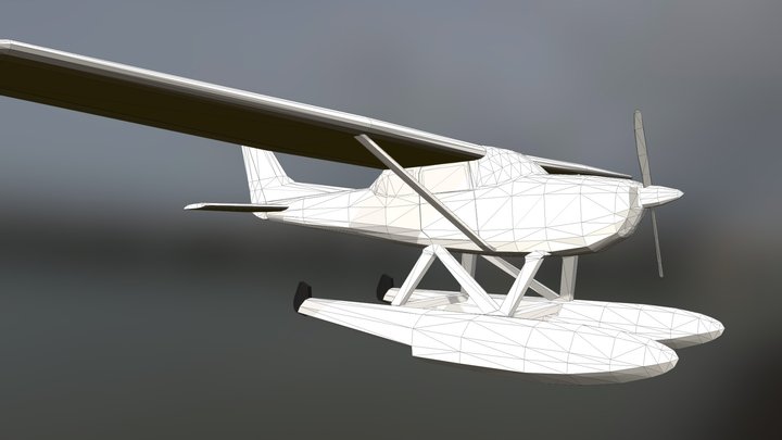 Water-plane 3D models - Sketchfab