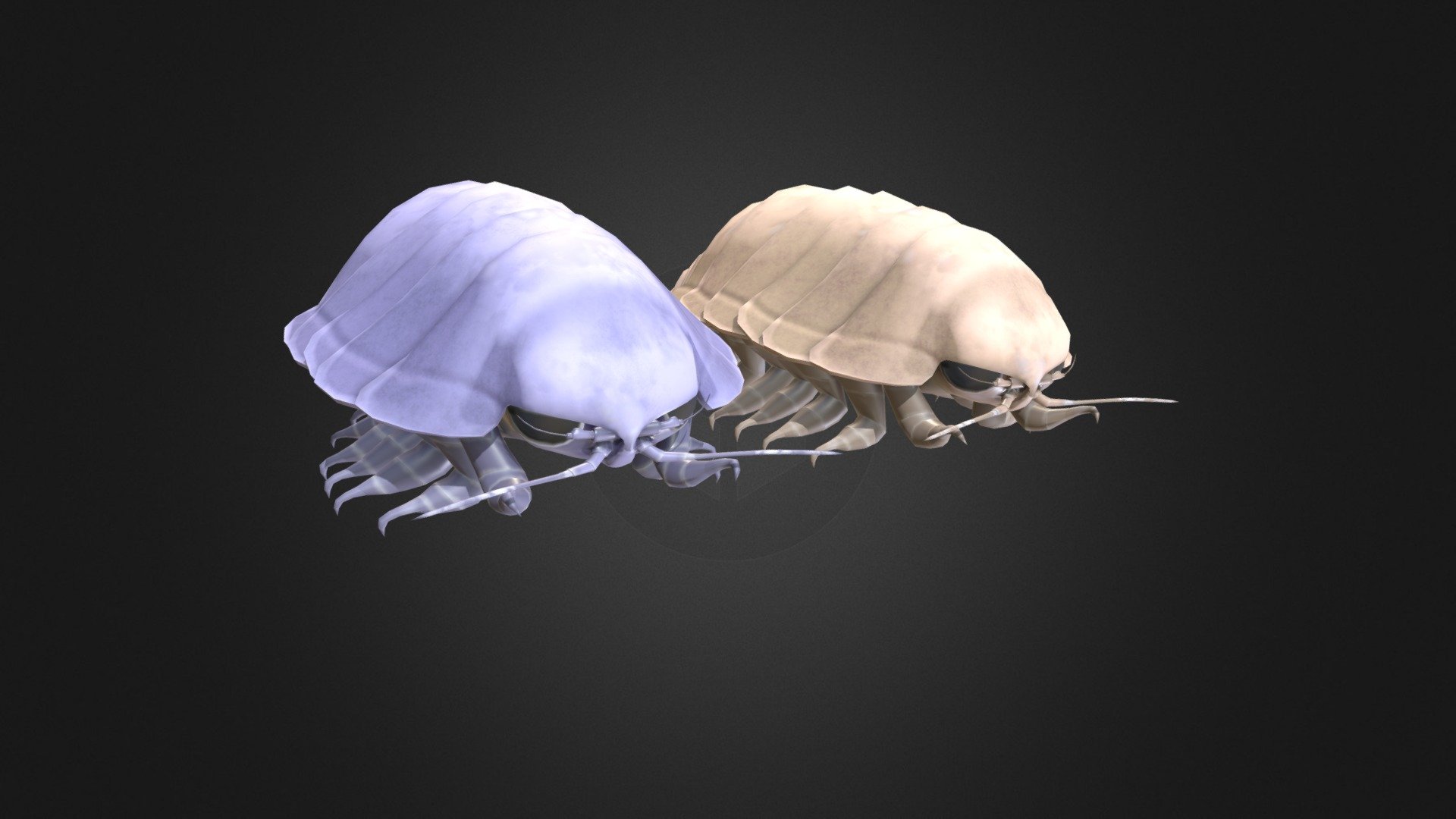 Sea Isopod - Buy Royalty Free 3D model by Batton [7a0a290] - Sketchfab ...