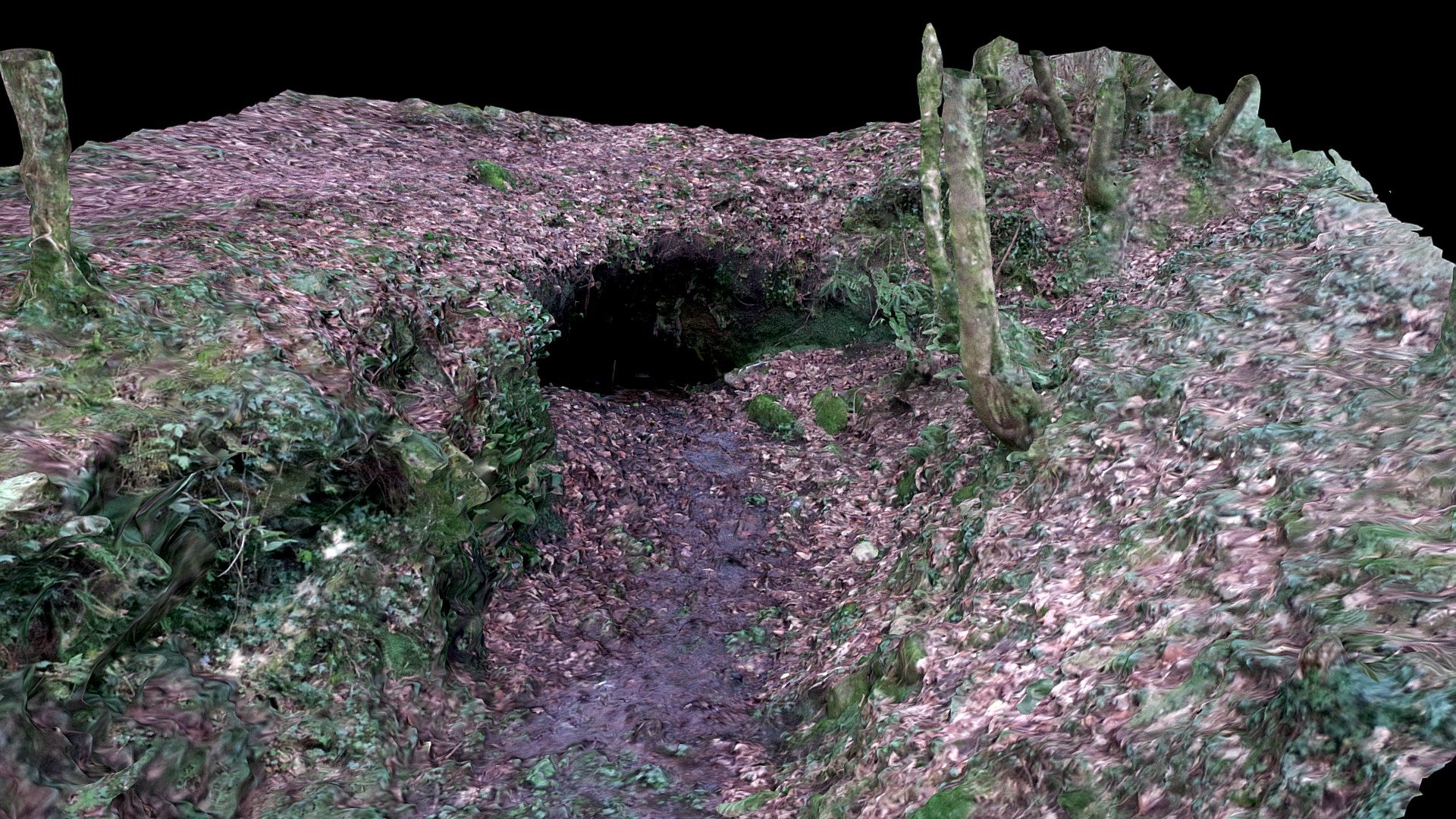 Bosahan Woods - Adit Portal - Download Free 3D model by Connor Motley ...