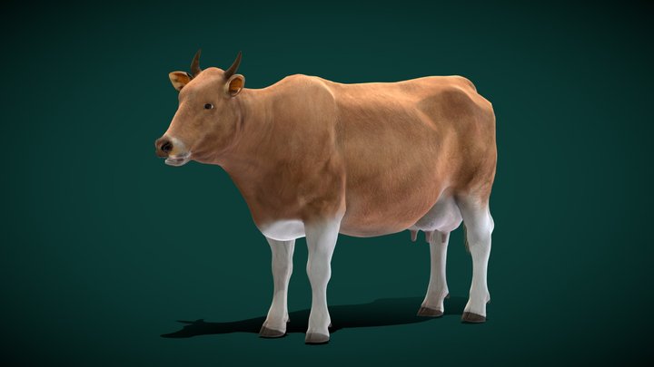 Tembadau 3D models - Sketchfab