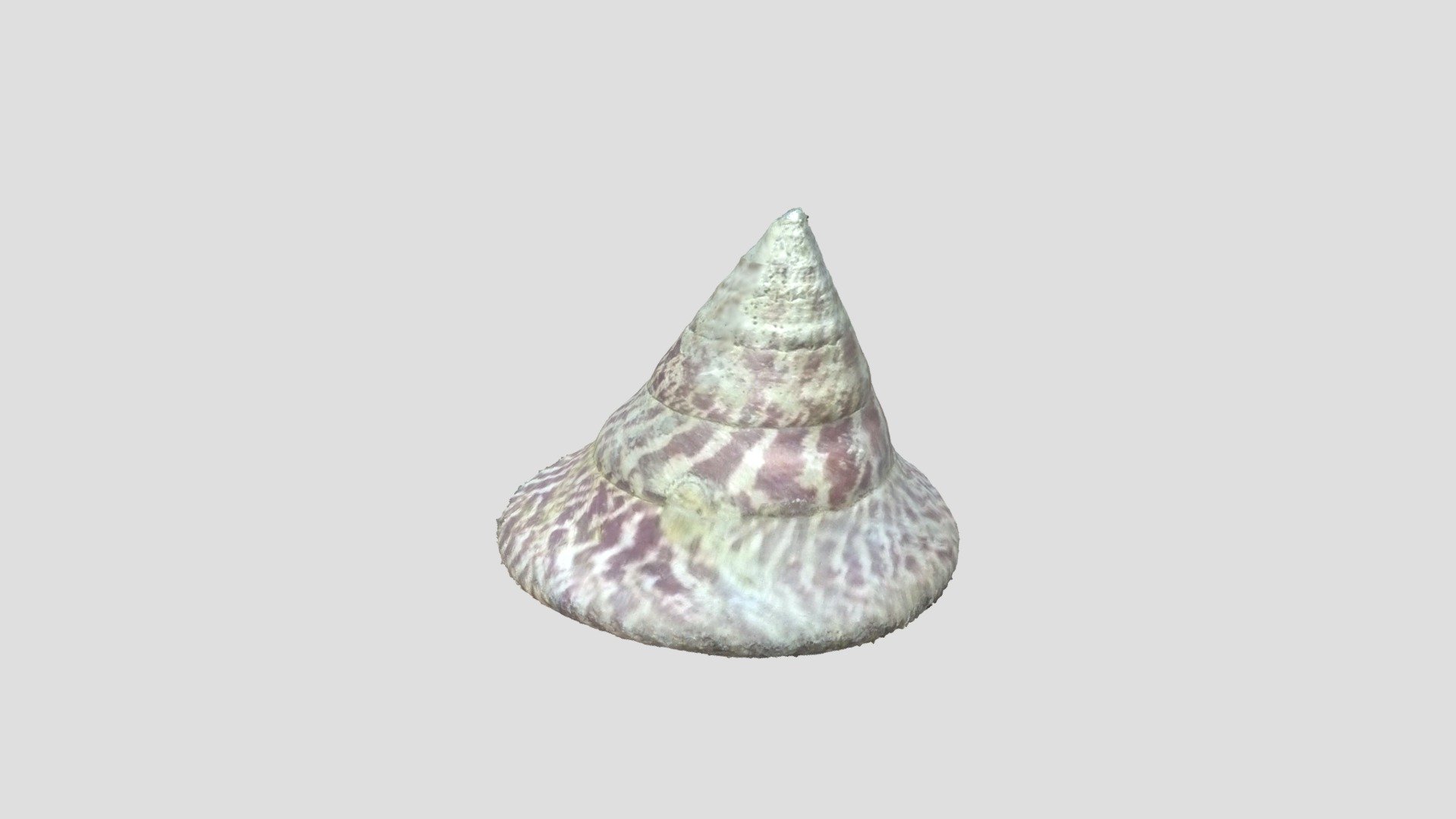 Shell Maria and Sara - 3D model by SaraSydney [7a1e8e0] - Sketchfab