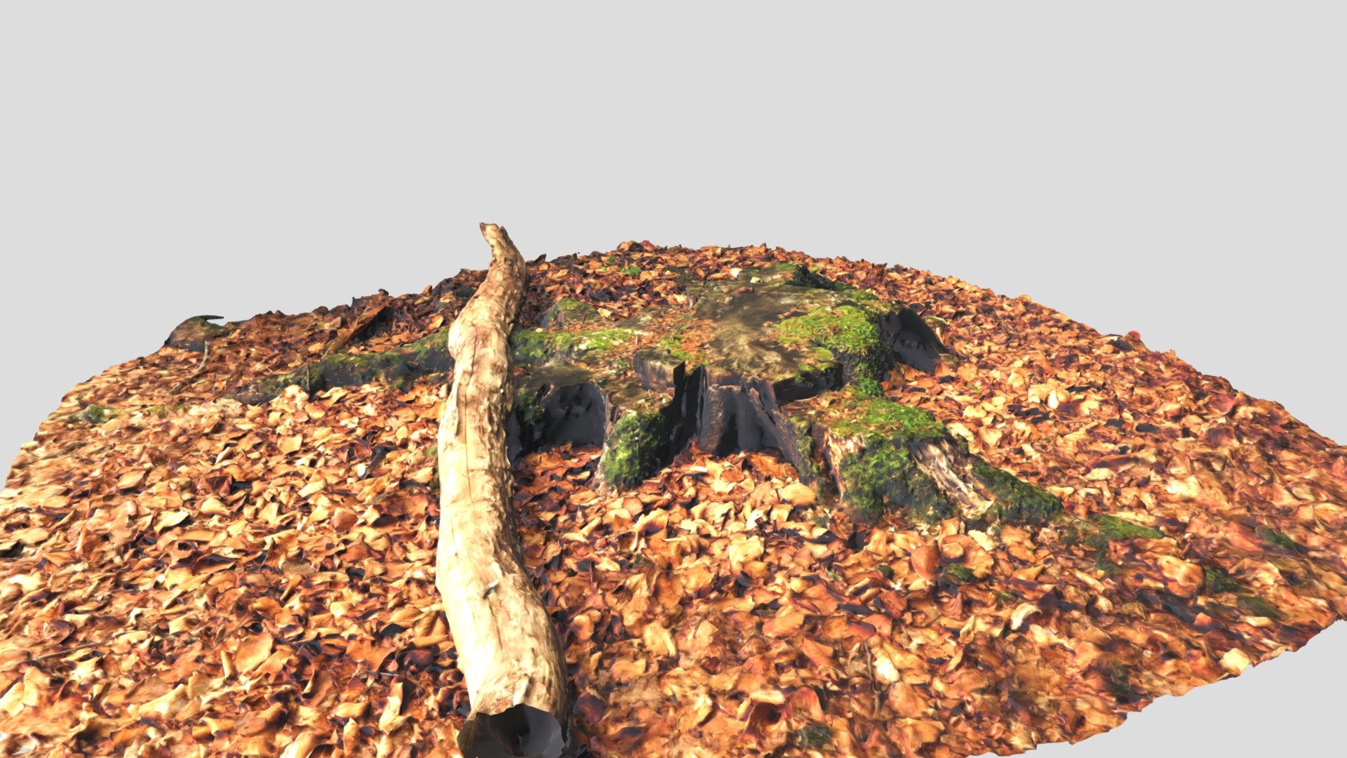 Marienhölzung - 3D model by Karsten Damerau (@passion3d) [7a2537f ...