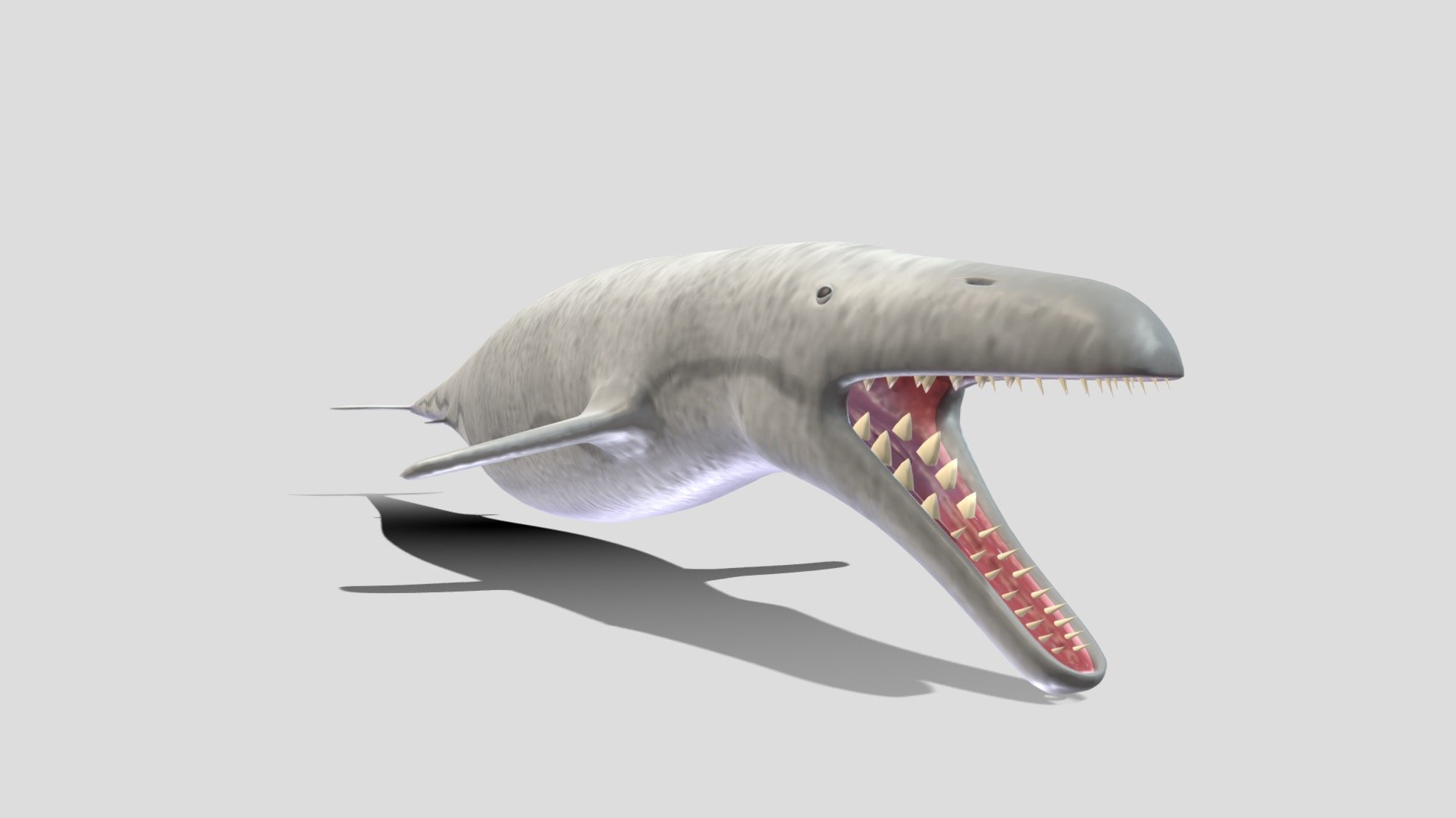 Basilosaurus - 3D model by CGreation (@imhminnesota) [7a273df] - Sketchfab