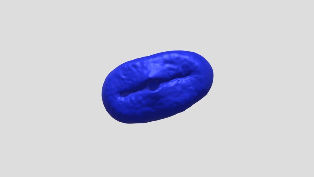 Bioimaging Hub 3D pollen collection - A 3D model collection by Cardiff ...
