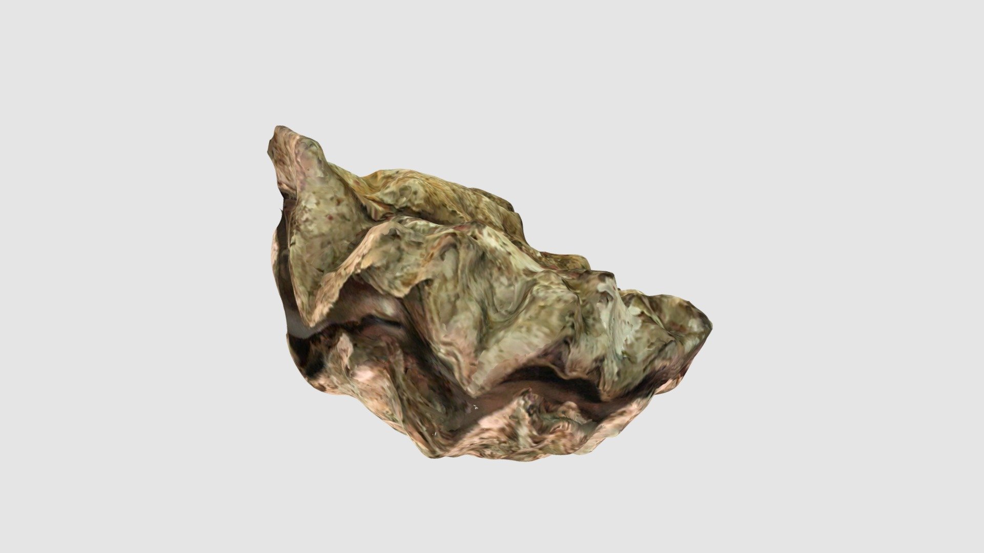 硨磲牡蠣Hyotissa hyotis - 3D model by CraftsinPengHu (@luperlatw) [7a2d1ab ...
