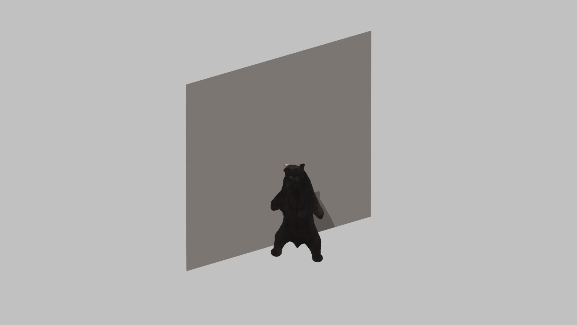 Bear_scratch - 3D model by yehyinghsuan [7a2d660] - Sketchfab