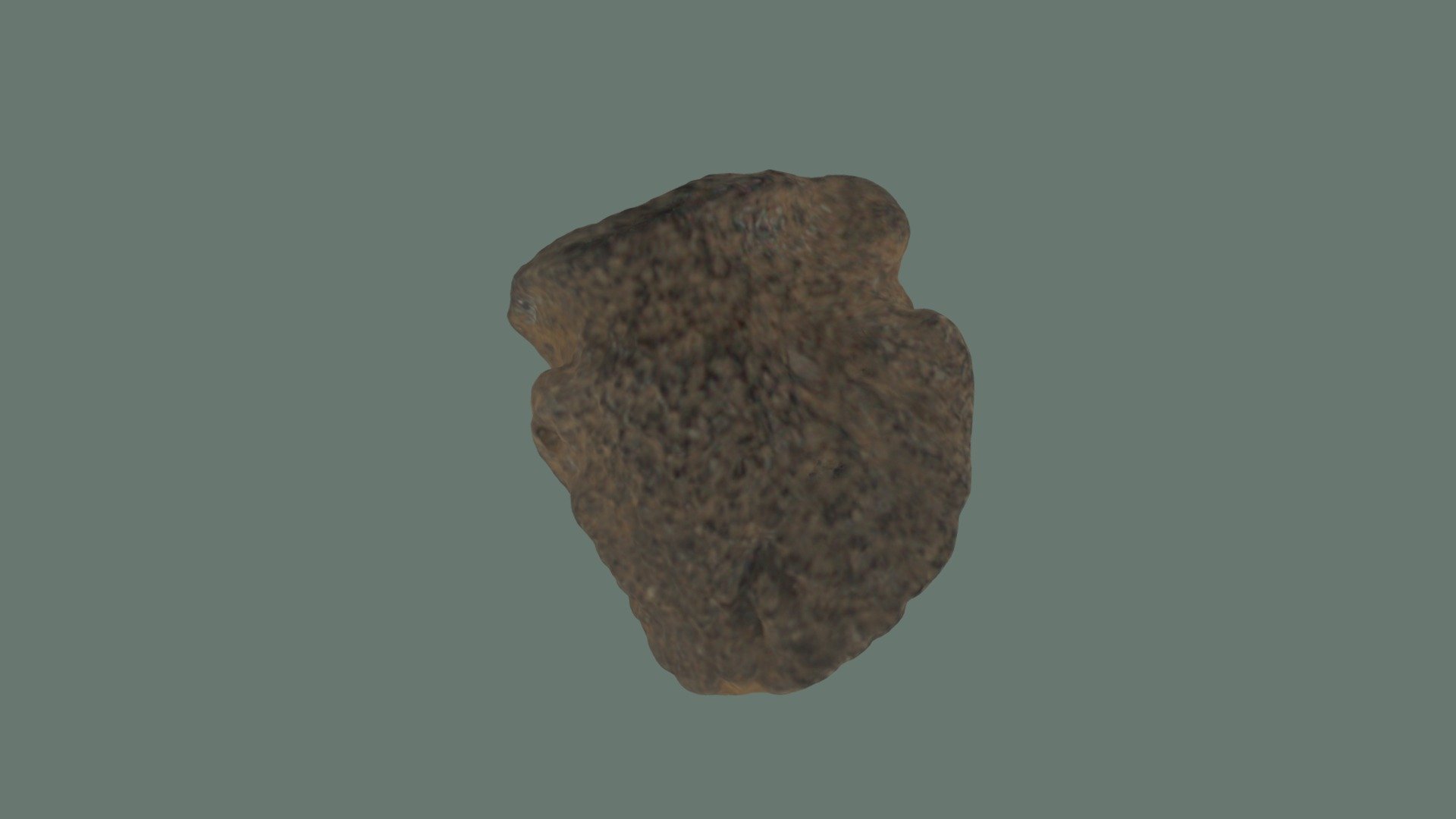 Tapir Hoof - 3D model by Naturalis [7a2e06e] - Sketchfab