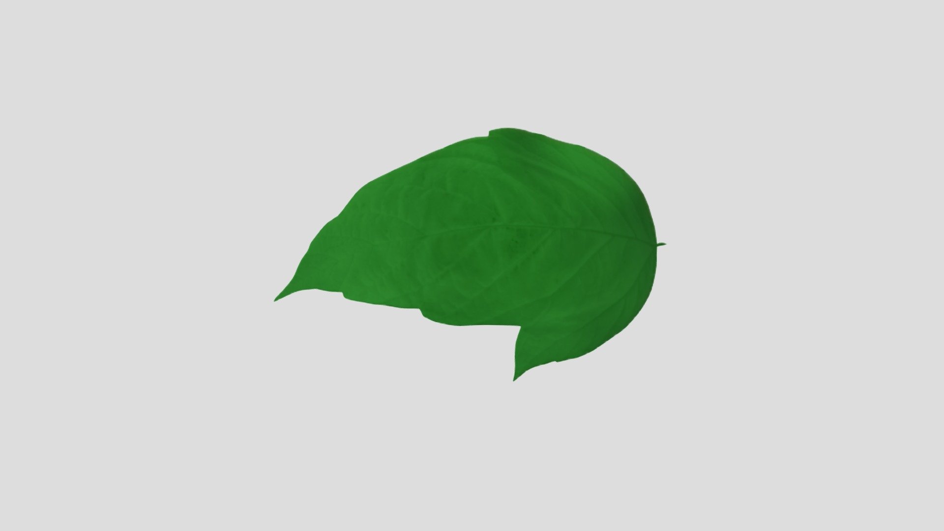 leaf glider - 3D model by rils09 [7a346b2] - Sketchfab