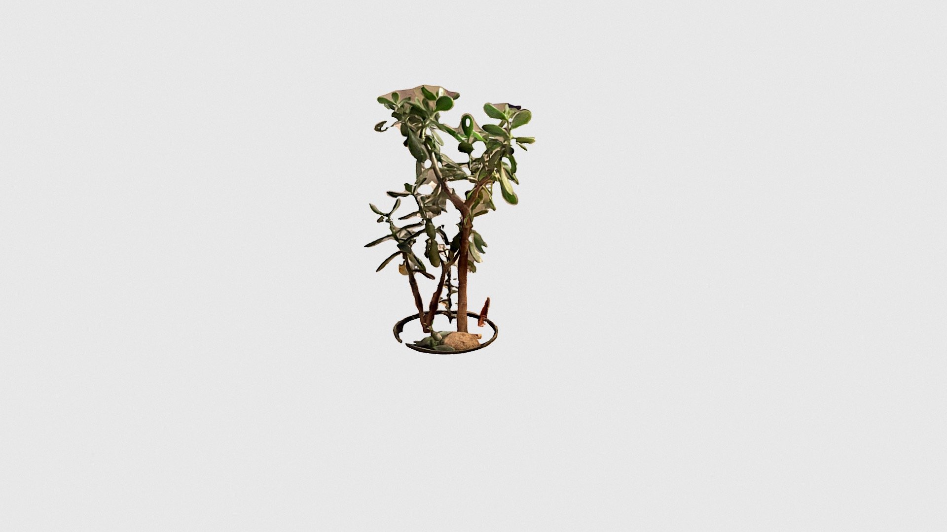 Jade - Download Free 3D model by Hac5311 [7a40c76] - Sketchfab