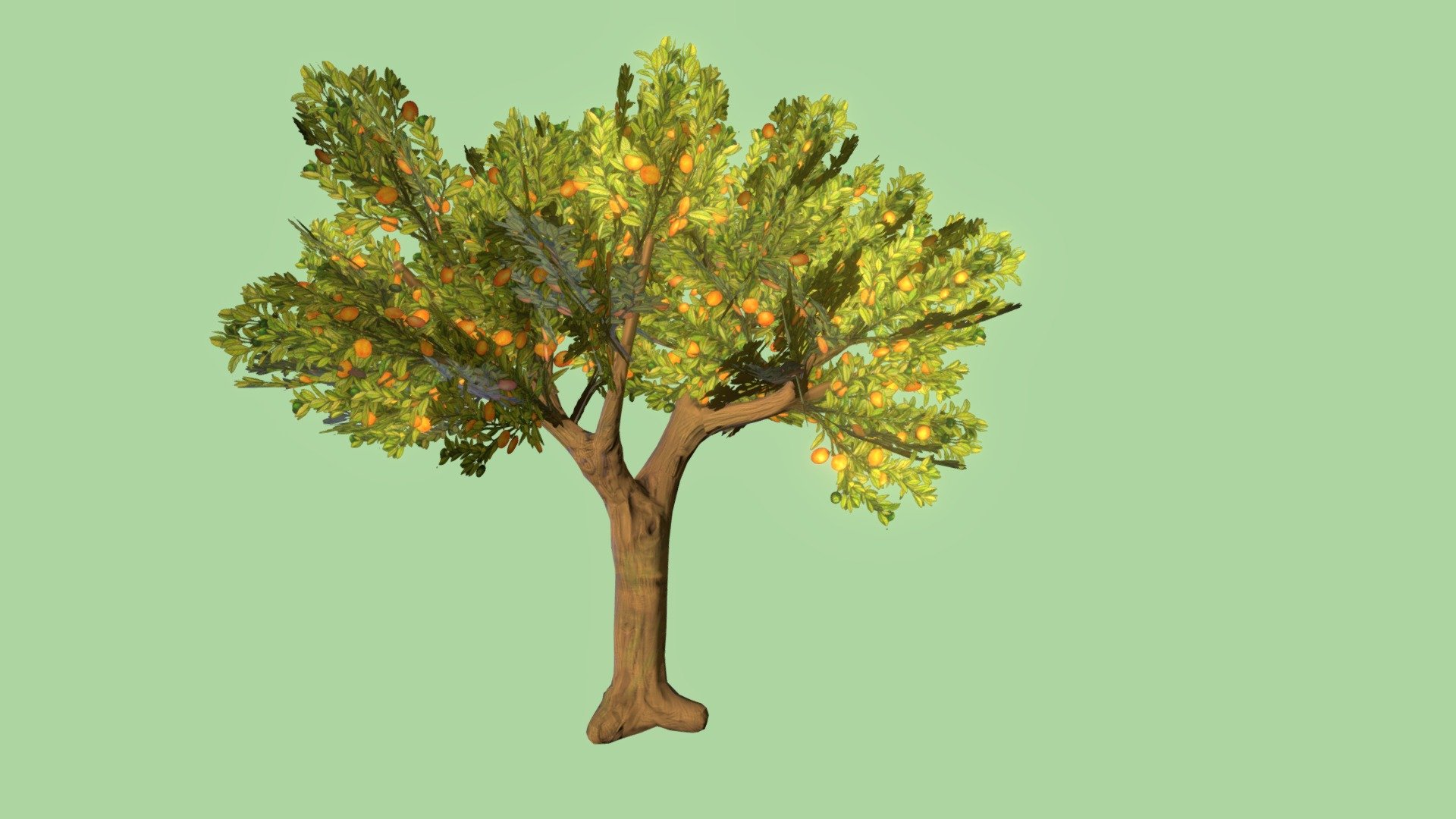 orangetree - 3D model by TSAI YING HSUAN (@lf258753159tw) [7a41464 ...