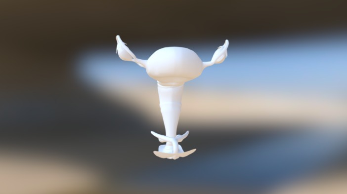 Female Rep Sys - 3D model by slccanatomy [7a43fa5] - Sketchfab