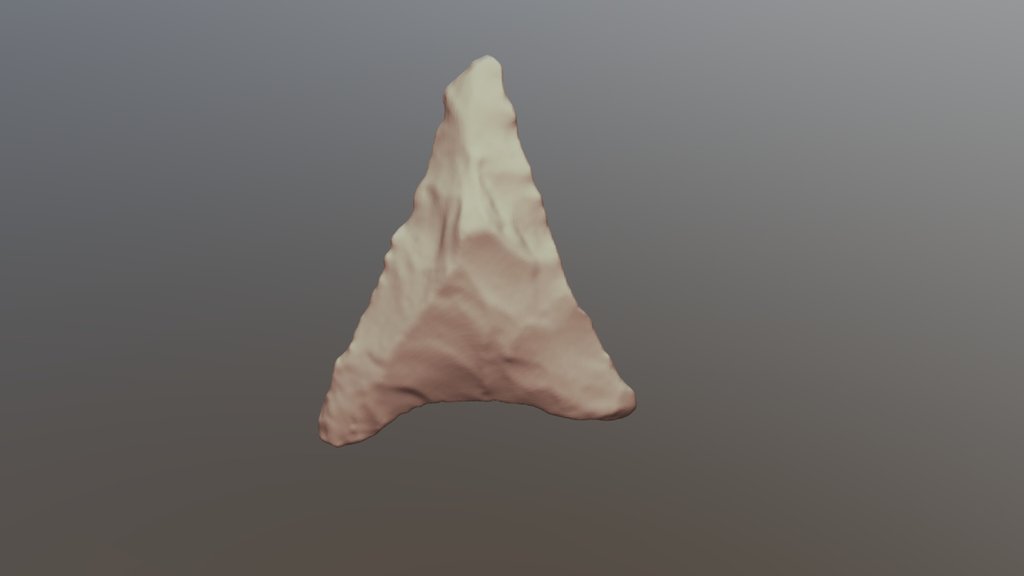 Lab Station 1 - A 3D model collection by Tri-C Anthropology Collections ...