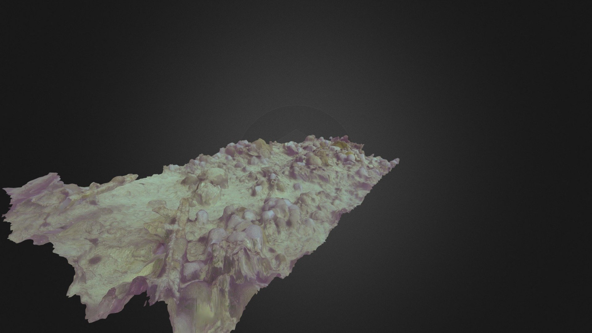 Geo Oceans_Chain and Coral Mosaic - 3D model by Geo Oceans (@geooceans ...