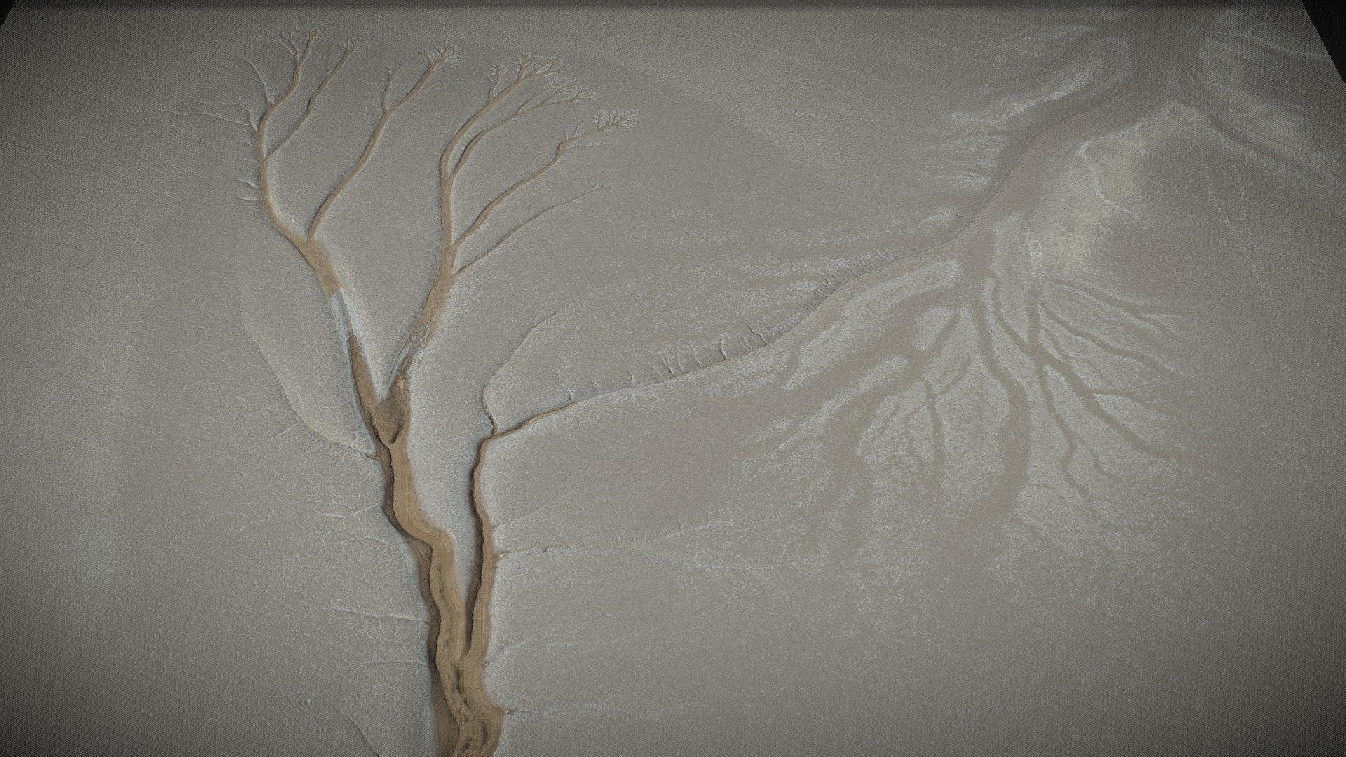 Tidal tree, seacoast, shore - Download Free 3D model by Metazeon ...
