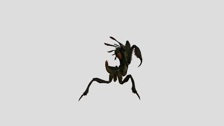 Mantis 3D models - Sketchfab