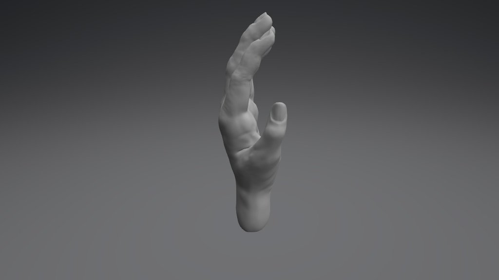Hand Sculpt - 3D model by gemmacrockett [7a67cd7] - Sketchfab