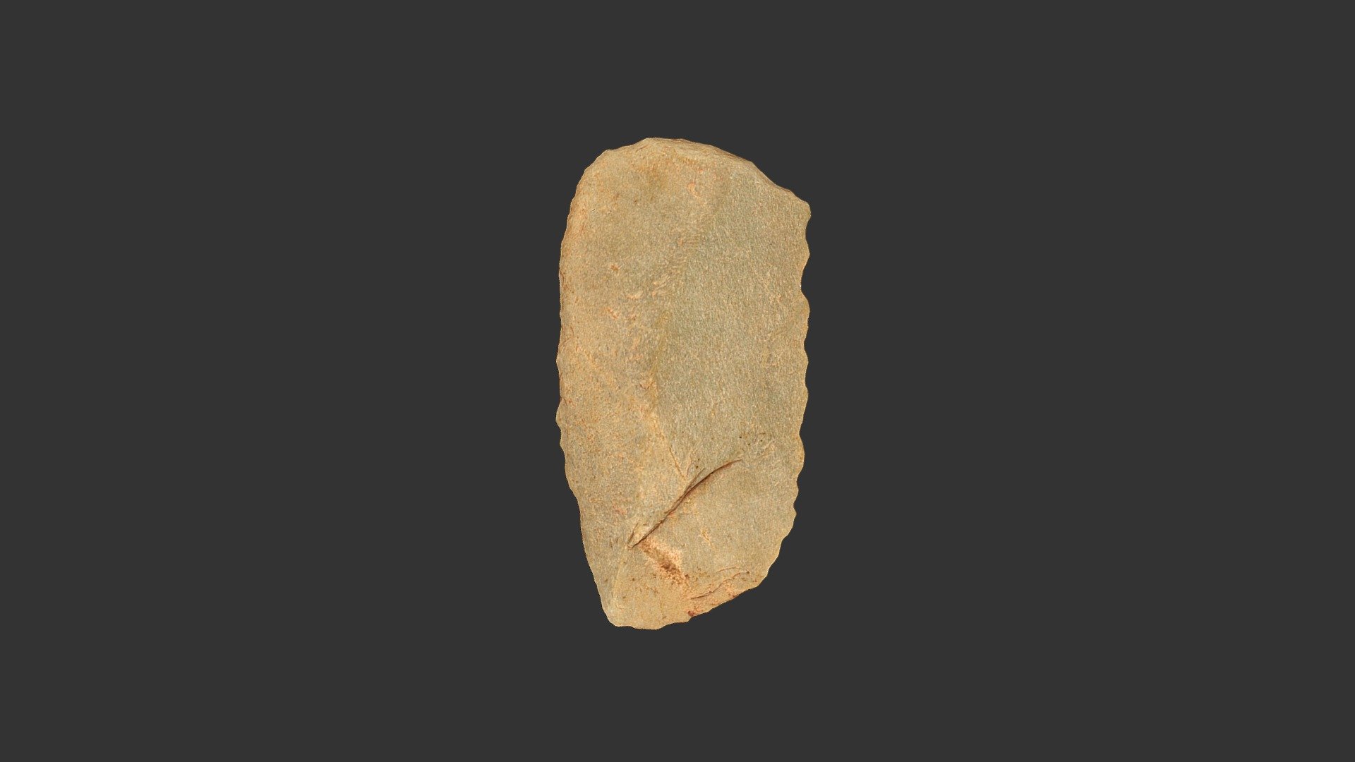 End Scraper (690a25-1) - Download Free 3D model by RLA Archaeology ...