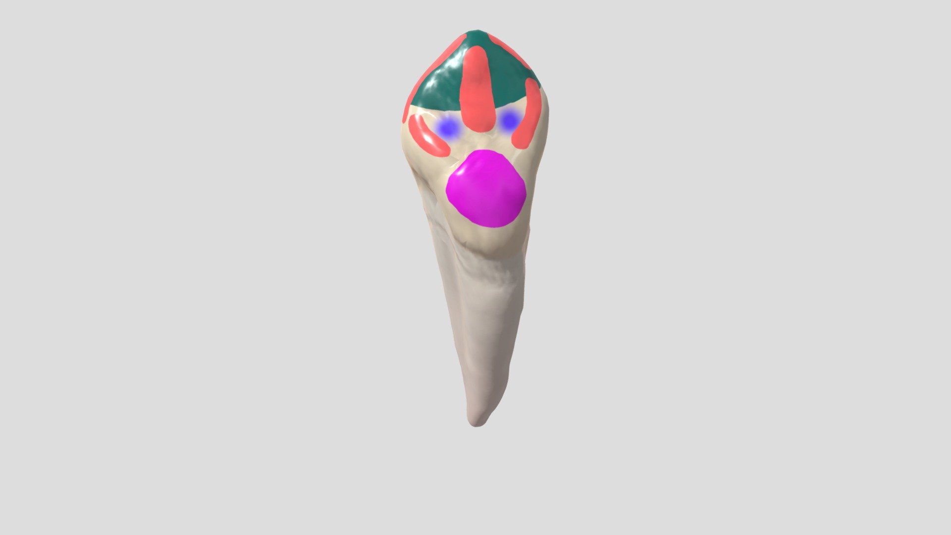 Maxillary canine anatomy features - 3D model by Virtual Dental Library ...