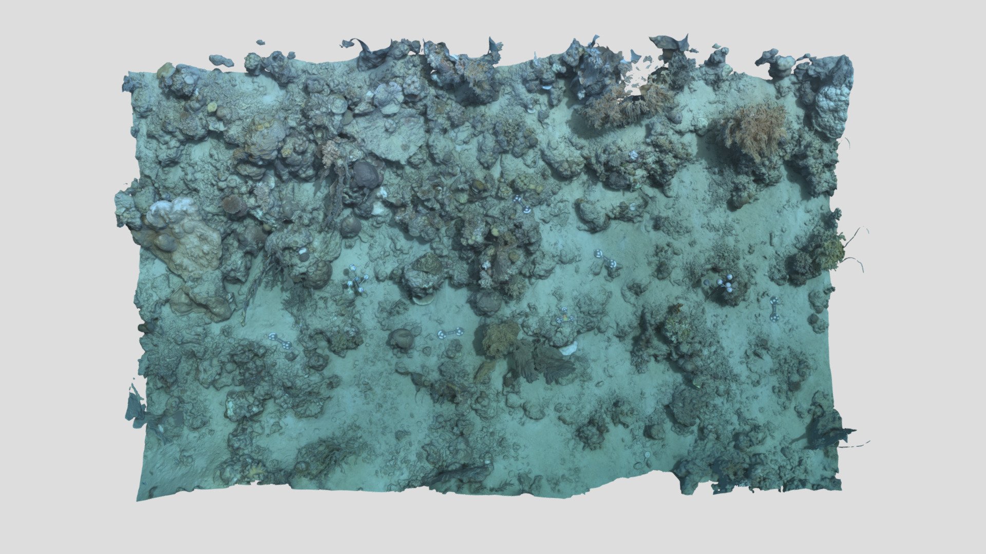 Masig_FR2D_P4_202203 - Download Free 3D model by EcoRRAP (@AIMSEcoRRAP ...