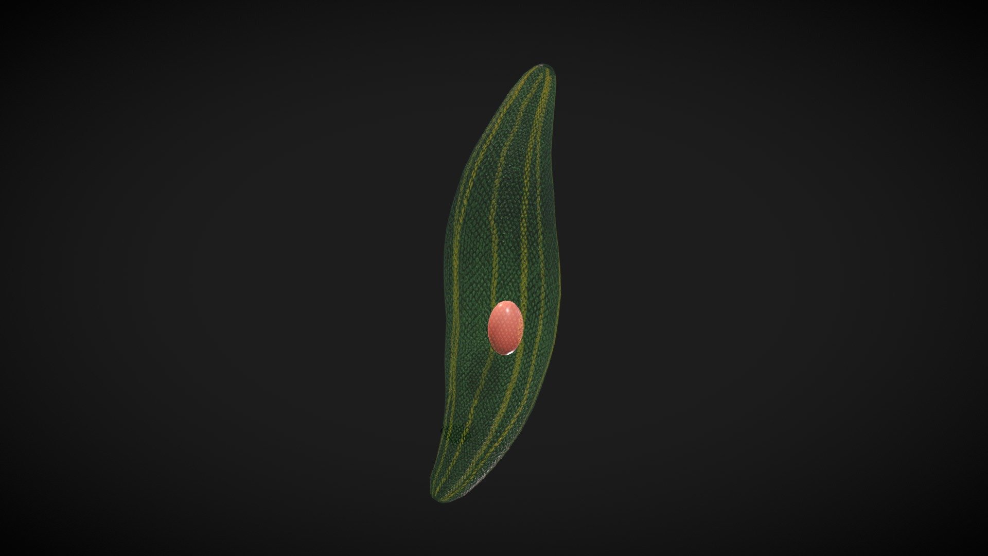 Monocystis - Buy Royalty Free 3D model by Deepak_Sharma [7a7a682 ...