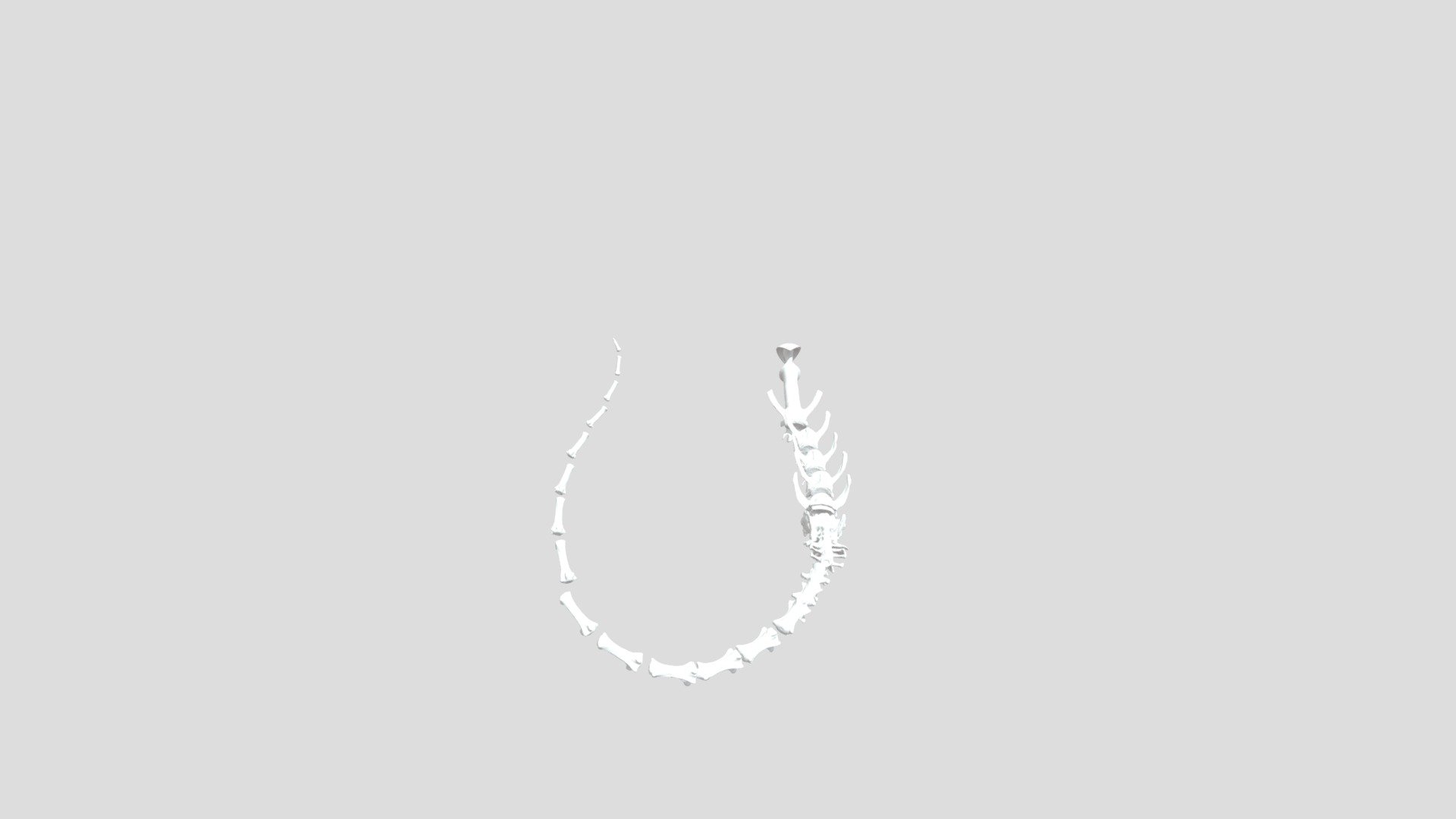 Wolf Predator Whip - Download Free 3D model by m-11356016moe-dl.edu.my ...