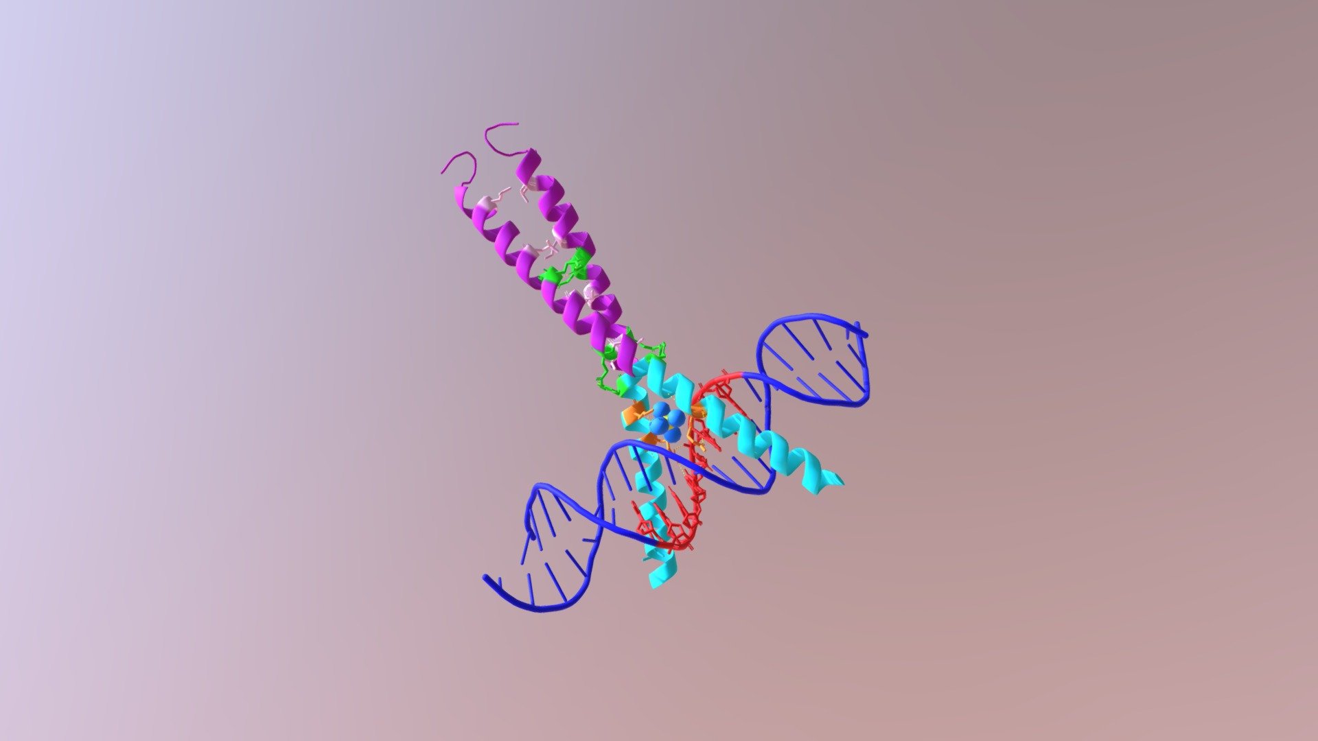 CREB (Leucine Zipper) And CRE DNA - 3D model by ehon2281 [7a900a3 ...