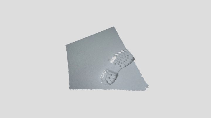 Footstep 3D models - Sketchfab