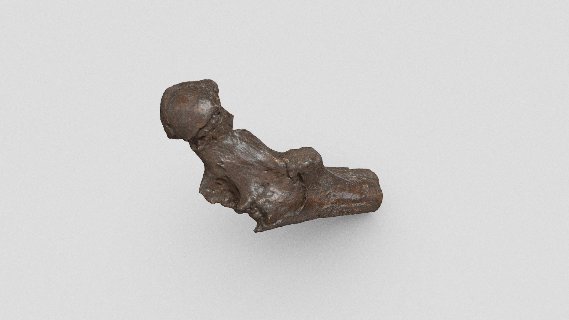 Rudapithecus hungaricus - 3D model by Herman Ottó Múzeum ...