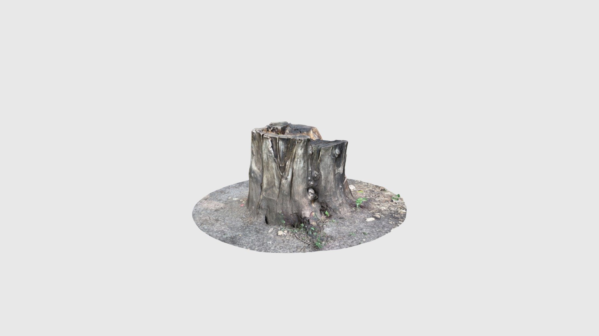 Stump - Download Free 3D model by bj (@bj0ke) [7a9a281] - Sketchfab