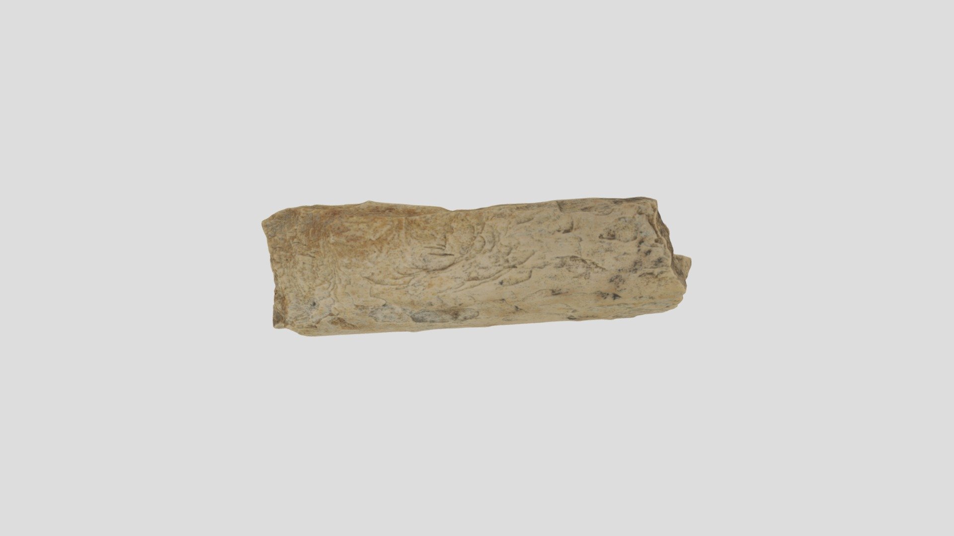 UW 55354-1 Natural Trap Cave - 3D model by University of Wyoming ...