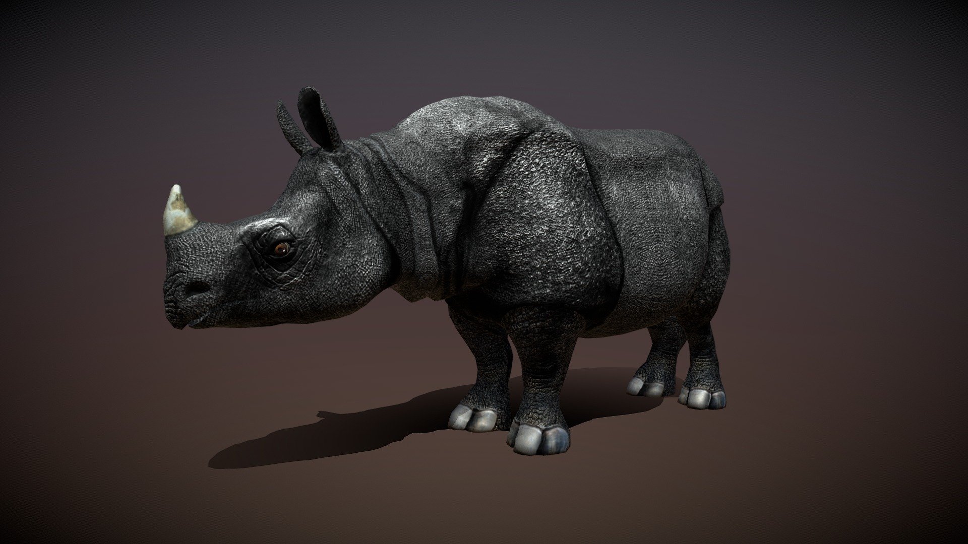 rhino - Buy Royalty Free 3D model by pinotoon [7aa17c5] - Sketchfab Store